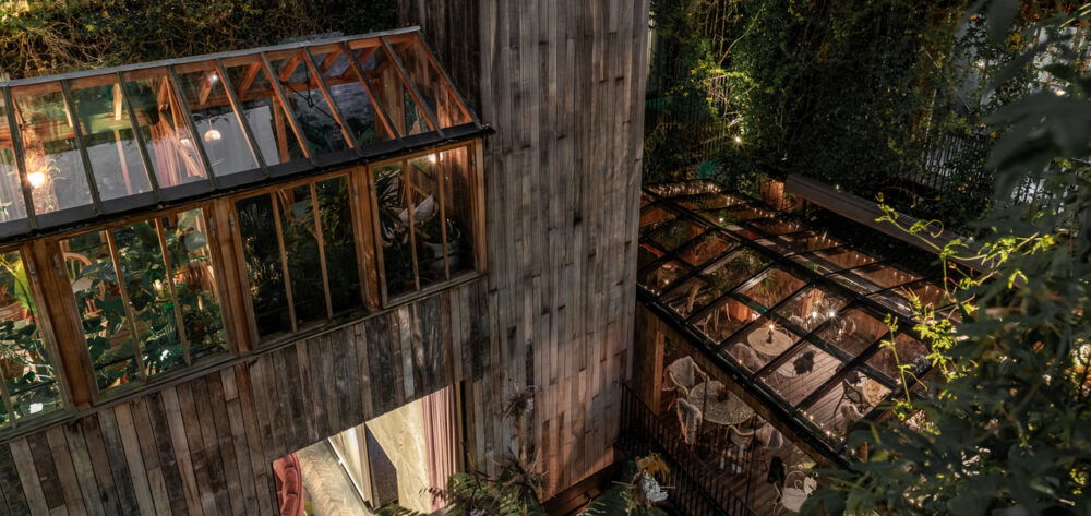 The Mandrake Hotel - The Halo Group